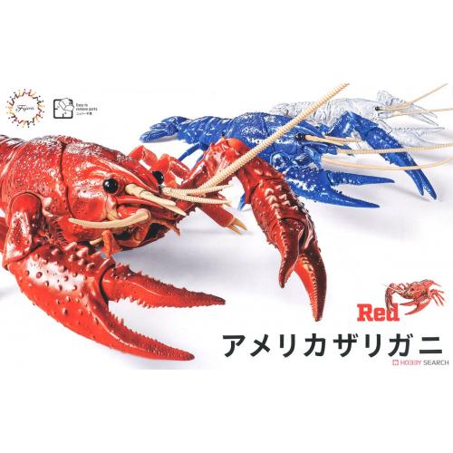 Fujimi Biology Edition Crayfish (Red) - PlasticModels